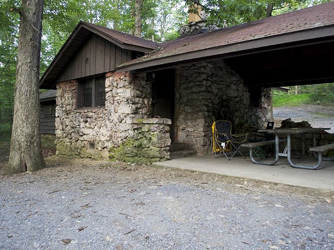 Stone and timber cabins that whisper tales of simpler times. No Wi-Fi password needed&mdash;the forest provides all the connection you need.