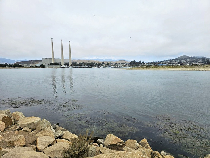 Morning mist softens the industrial silhouette of the power plant. A reminder that Morro Bay balances working waterfront heritage with natural splendor.