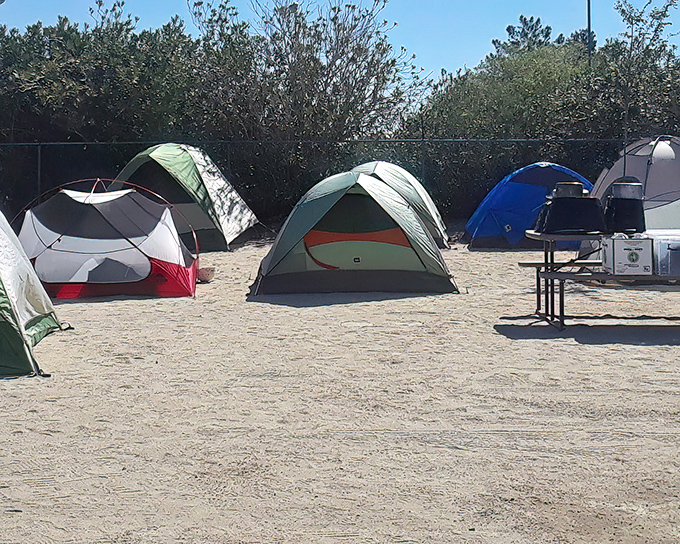 Camping under the stars takes on new meaning when those stars put on the greatest light show you've ever seen.