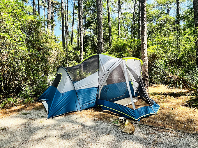 Home sweet temporary home! This campsite promises stars overhead instead of popcorn ceilings and birdsong instead of alarm clocks.