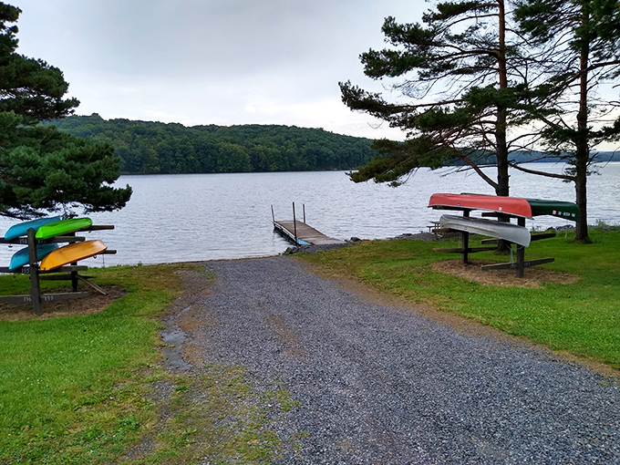 Paddle paradise found! Colorful kayaks stand ready for water adventures, proving some of life's best journeys begin with choosing which bright vessel to board.