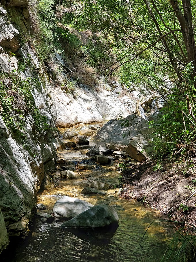 The stream's gentle cascade over sun-bleached rocks creates nature's own meditation soundtrack.