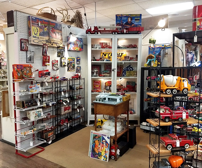 Toy cars that outlasted their full-sized counterparts line these shelves. Each miniature vehicle carries big memories of childhood adventures.