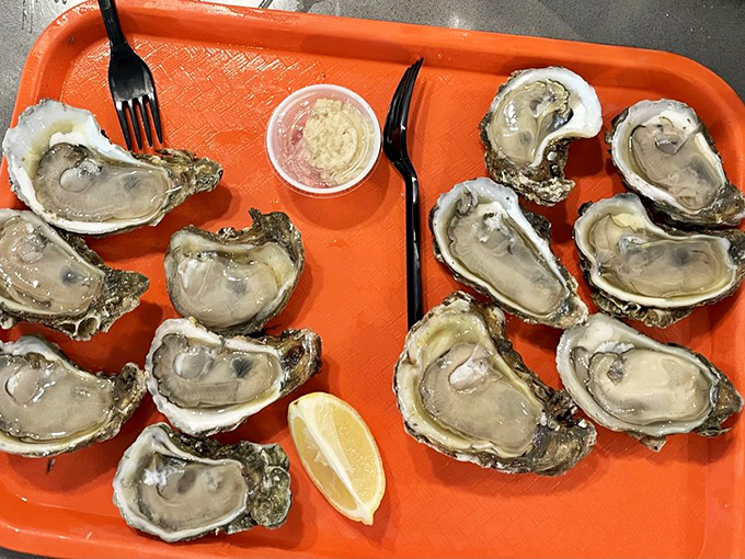 Raw oysters on a bright orange tray—nature's perfect appetizer with nothing more than a squeeze of lemon and a dash of anticipation.