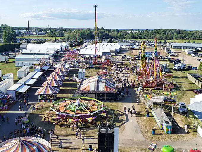 The county fair brings rides, games, and the only acceptable place where eating your weight in fried food is considered patriotic.