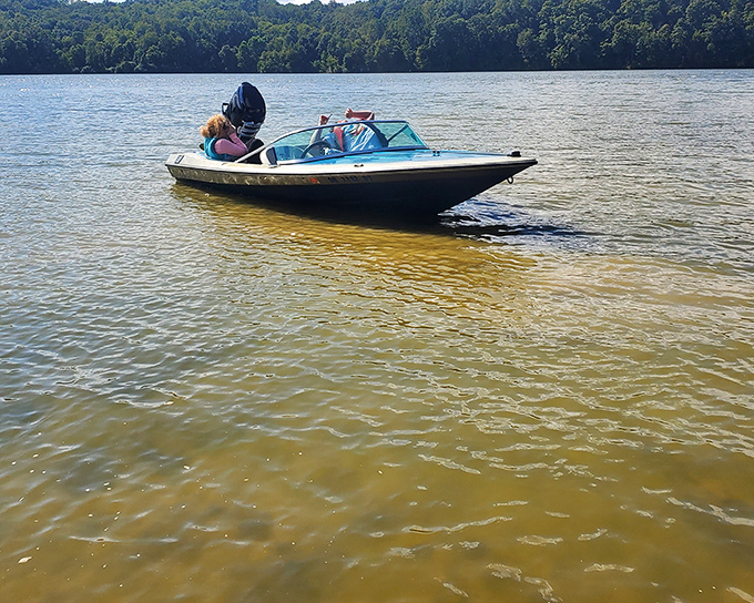 Nothing says "summer freedom" quite like gliding across these golden waters, where weekend warriors find their liquid escape from the ordinary. 