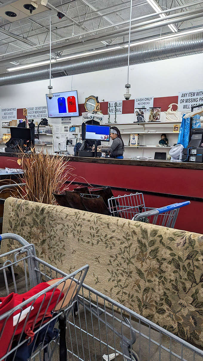 The final frontier before freedom. That "Cash Only" sign is the last hurdle between you and your newfound treasures.