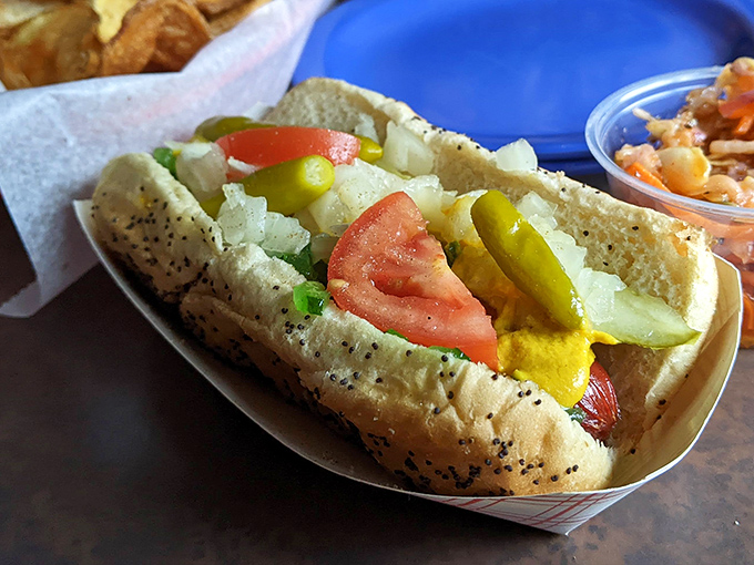 The Chicago dog in all its glory—a garden of toppings nestled in a poppy seed bun. This isn't just lunch; it's a Midwestern hug on a plate.