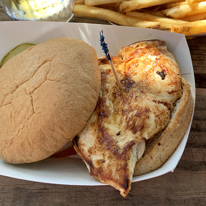 The chicken sandwich that launched a thousand return visits, with grill marks that deserve their own Instagram account.