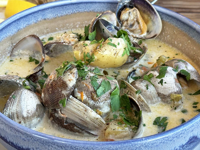 Clams floating in creamy broth like they're enjoying their own little hot tub party, with potatoes and herbs joining the celebration.