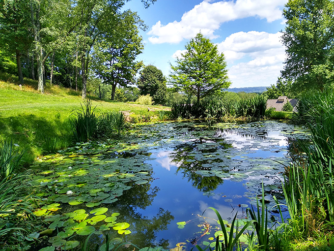 Clary Gardens offers a lily pad paradise where Monet would have set up his easel and forgotten to leave.