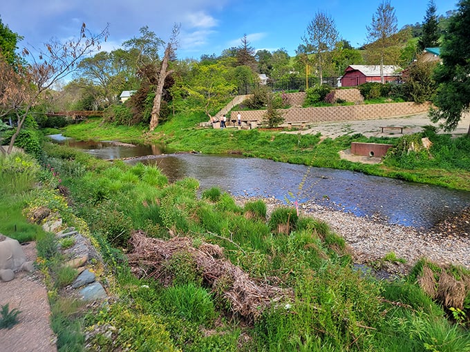 Nature's original air conditioning &ndash; a babbling creek that cools the summer air and provides a peaceful backdrop for afternoon contemplation.