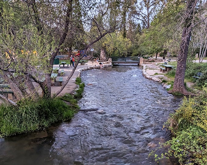 Murphys Creek meanders through town like nature's soundtrack, offering cool respite during hot Sierra foothill summers.