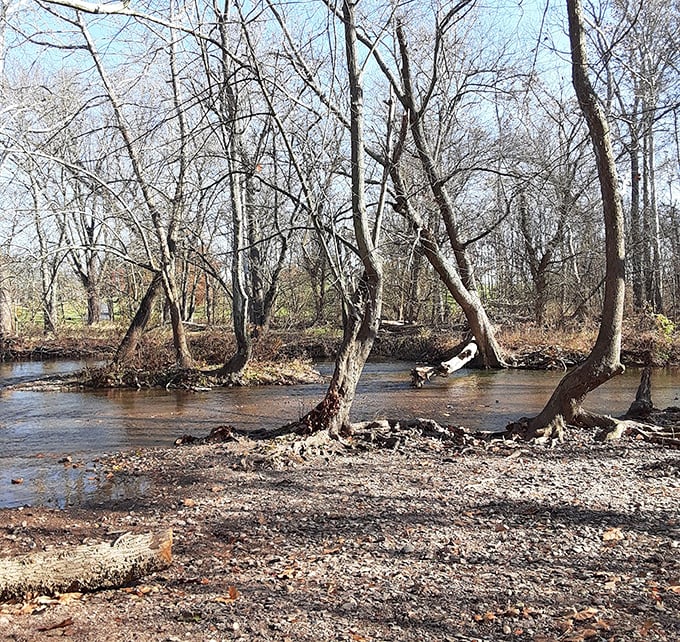In winter, the stark beauty of bare trees framing Marsh Creek creates a different but equally compelling portrait of this historic area.