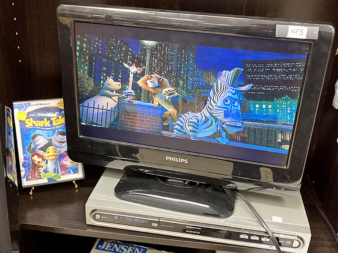 "Madagascar" playing on a perfectly good TV/DVD combo that costs less than two tickets to the movies. Technology recycling at its finest!