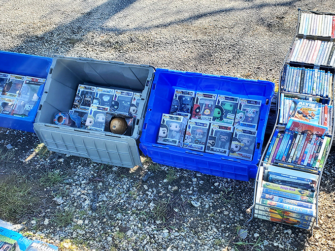 Yesterday's entertainment packaged for tomorrow's enjoyment&mdash;these DVDs and collectibles are time machines disguised as plastic cases.