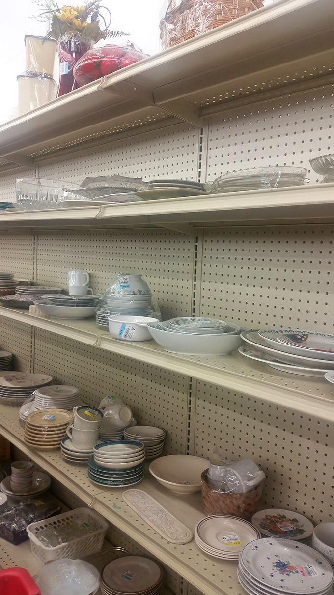 Dish department dreams come true for mismatched collection enthusiasts. That blue floral bowl? It's been waiting for your Sunday morning cereal ritual.