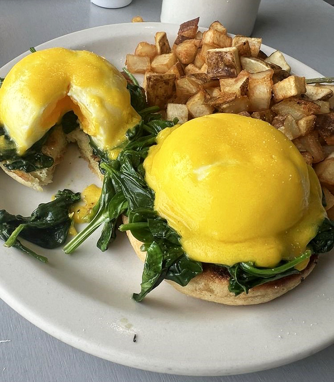 Eggs Benedict that would make a brunch skeptic set weekend alarm clocks. That hollandaise sauce looks like liquid sunshine.