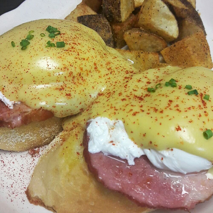 Perfectly poached eggs crown Canadian bacon while hollandaise sauce transforms this Benedict into breakfast royalty worth genuflecting toward.