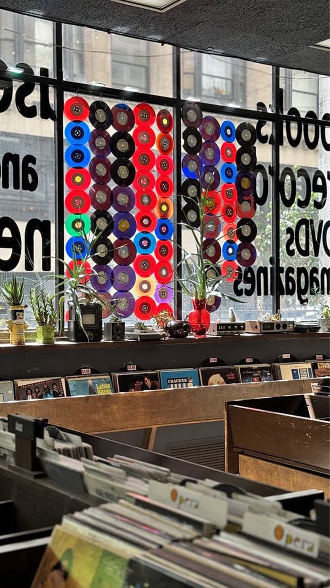 Colorful vinyl records transform into window art, filtering sunlight through musical history. Even the decor here has rhythm.