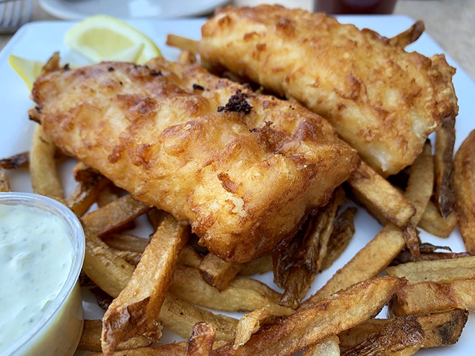 Fish and chips that transport you straight to Dublin without the jetlag. That golden batter is what deep-frying dreams are made of.