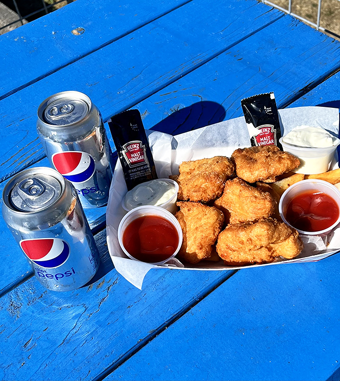 A feast fit for Neptune himself, served with Pepsi instead of seawater. The blue picnic table adds a touch of coastal charm to this already perfect maritime meal.