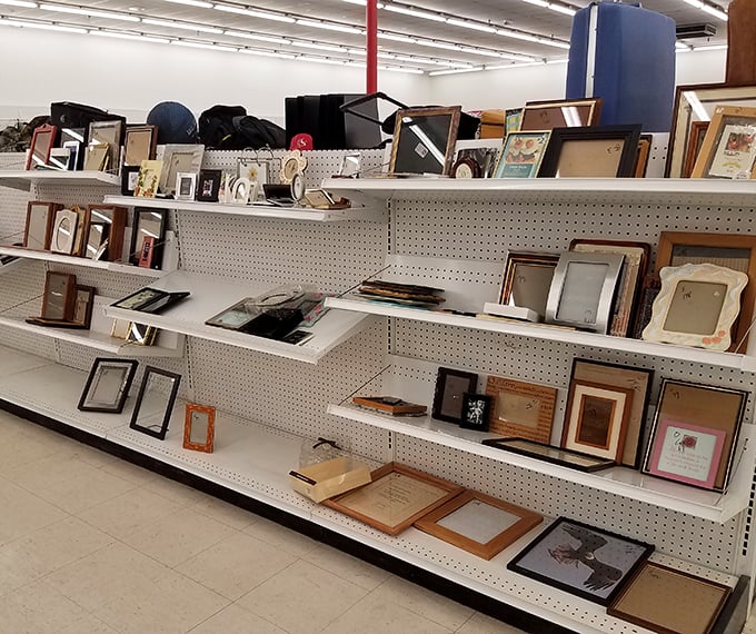 Picture frames waiting for new memories to hold. That ornate wooden one could make even your vacation selfies look museum-worthy!