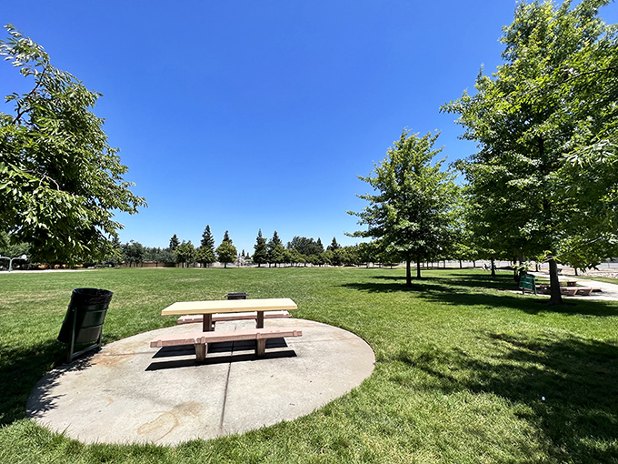 Freedom Park provides a perfect spot for contemplation, picnics, or simply watching squirrels plot their next acorn heist.