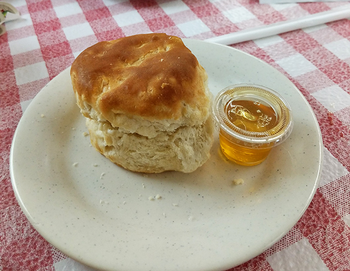 Behold the humble biscuit in its natural habitat&mdash;golden-topped, impossibly fluffy, and ready for its honey bath. Carb-counting stops at this door.