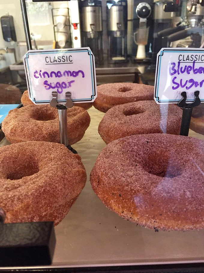 Cinnamon sugar donuts that would make your grandmother question everything she knows about baking. The texture is that good.