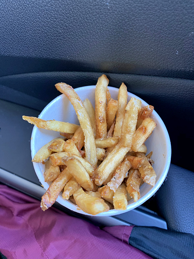 These aren't just fries; they're crispy potato time machines. One bite and you're instantly transported to simpler, happier times. 