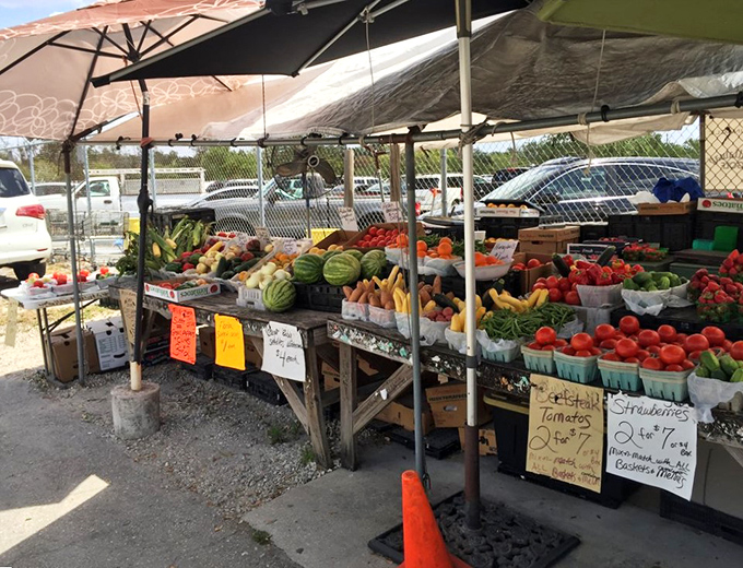 Farm-fresh produce that makes supermarket offerings look like sad distant relatives. These tomatoes actually remember what sunshine feels like.