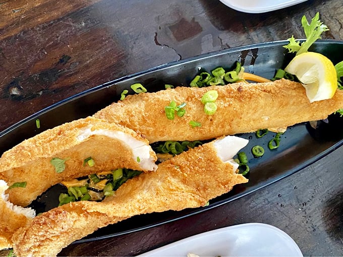 Crispy on the outside, tender heaven within. These golden grouper fingers aren't your cafeteria fish sticks—they're the catch your fishing stories wish were true.