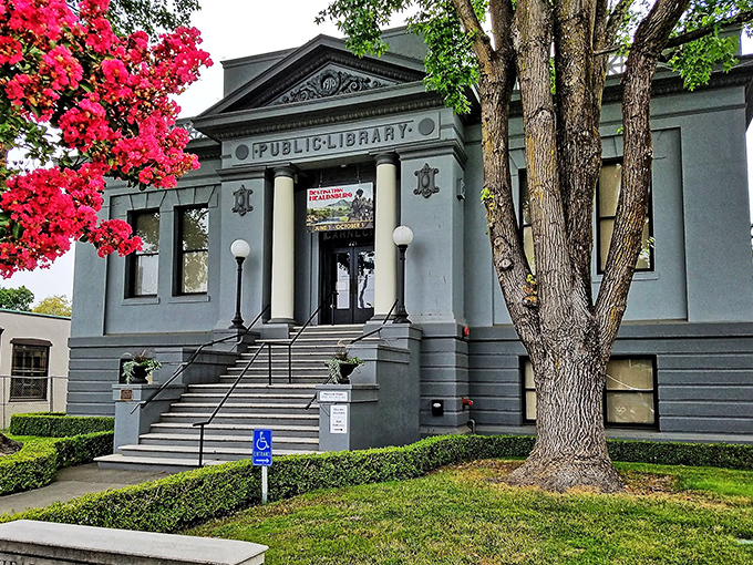 The Carnegie Library stands proudly as Healdsburg's temple of knowledge, where architecture and literature create the perfect marriage of form and function.
