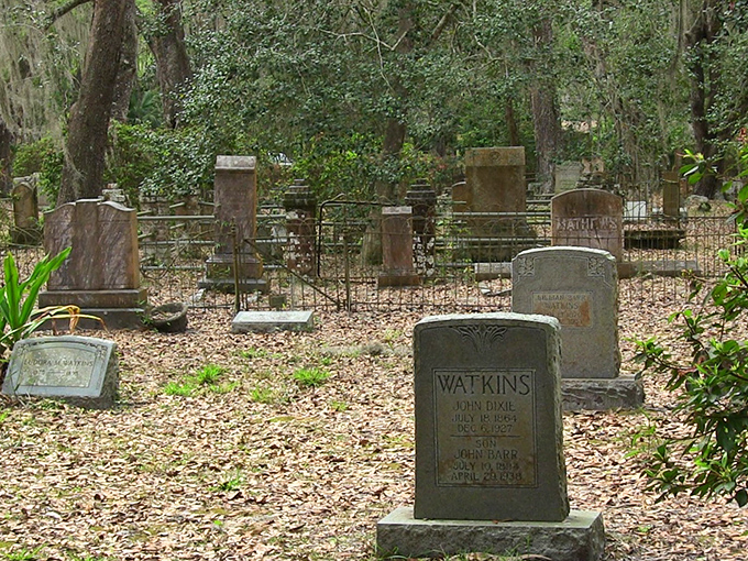Micanopy's historic cemetery tells stories of pioneers who settled this wilderness long before theme parks and retirement communities defined Florida.