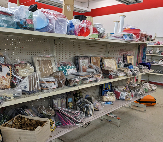 Shelves packed with mysterious treasures that could transform your home into something magazine-worthy overnight.