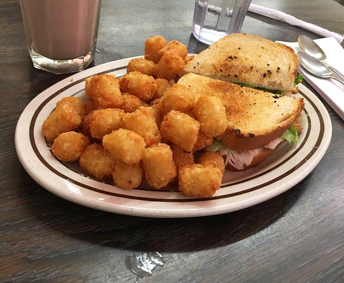 Comfort food that hugs your soul. This sandwich and tots combo proves that sometimes the simplest pleasures deliver the most satisfaction.