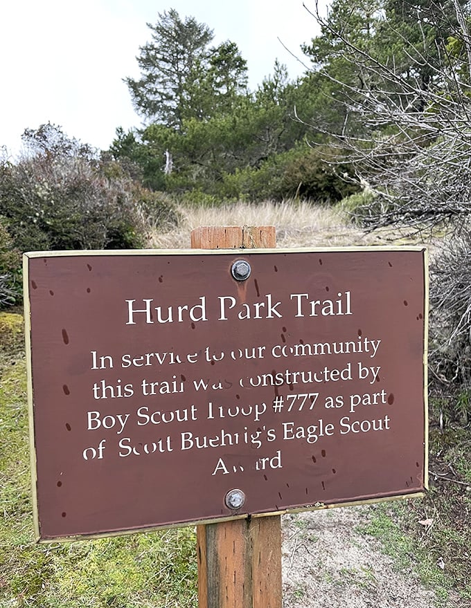 Hurd Park Trail: where Eagle Scouts create paths and the rest of us gratefully huff and puff our way through nature.