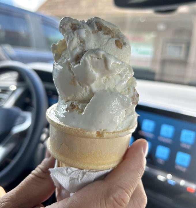Ice cream so perfectly swirled it makes you wonder if there's a retired sculptor working behind the counter with a very specific set of skills.