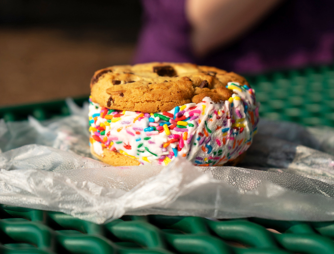 Ice cream sandwiched between chocolate chip cookies and rolled in rainbow sprinkles&mdash;proof that happiness can indeed be purchased for a few dollars.