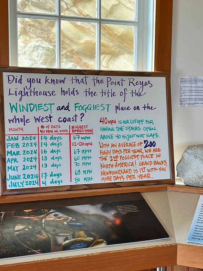 "Windiest and foggiest place on the West Coast" isn't just bragging&mdash;it's science. This board tracks days when Mother Nature shows off her temper.