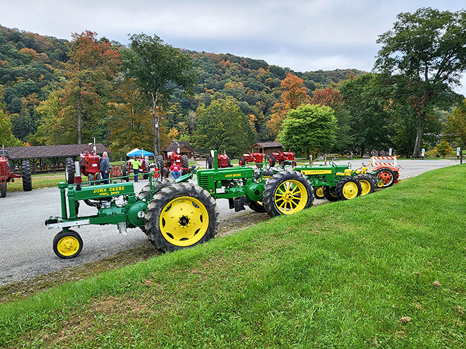 The John Deere parade – vintage tractors lined up like mechanical candy. Farm equipment never looked so good against autumn's golden backdrop!