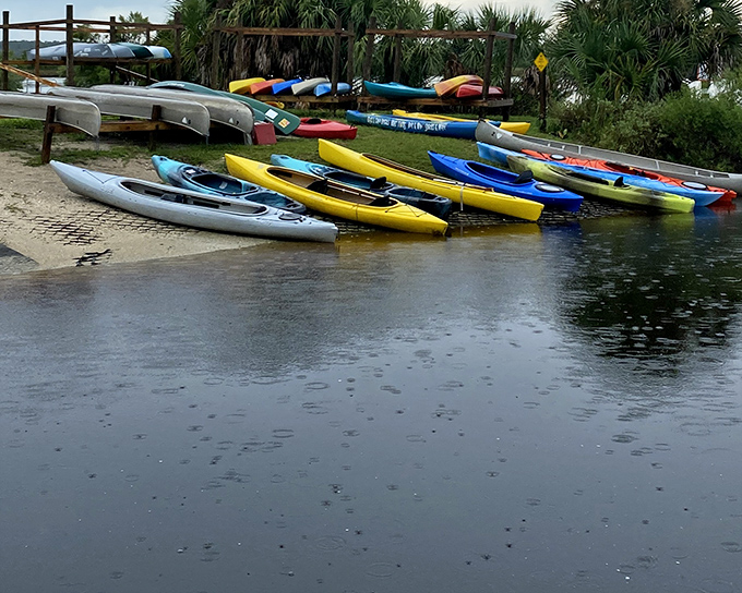 A rainbow of kayaks awaits adventure seekers, proving the most colorful experiences in Ormond Beach don't require colorful credit card statements.