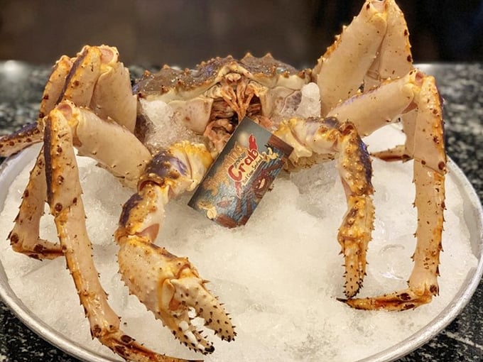 King crab legs displayed like oceanic crown jewels, promising sweet meat that justifies every bit of shell-cracking effort required.