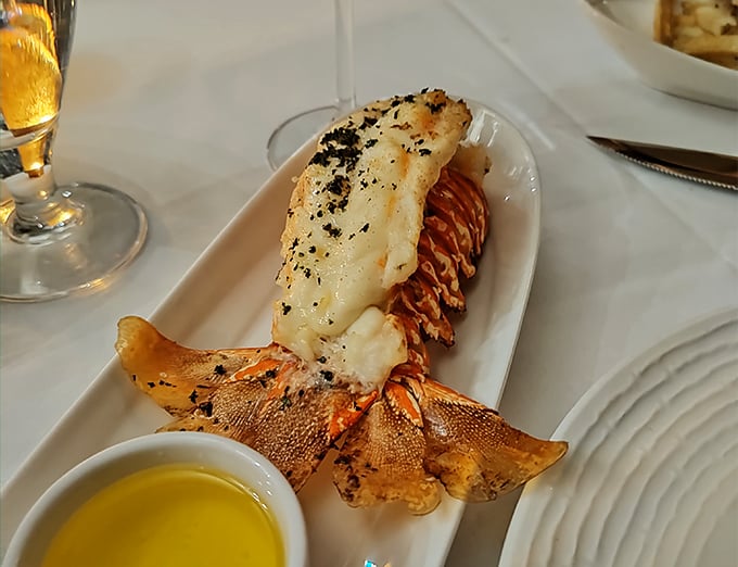 South African lobster tail that's traveled farther than most of us this year, arriving at your table with butter that's practically liquid gold.