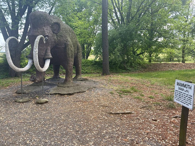 Not all residents are dinosaurs! This woolly mammoth reminds us that prehistoric mammals had their own impressive chapter in Earth's story.
