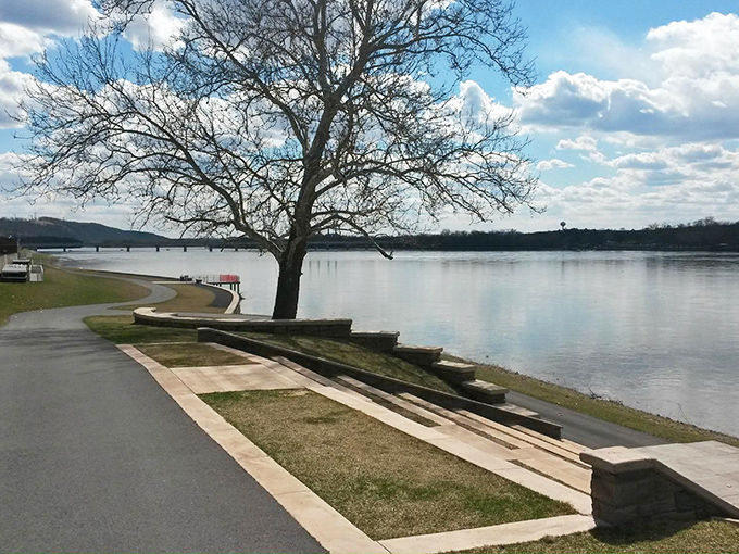 Merle Phillips Riverfront Park transforms ordinary afternoons into peaceful riverside retreats along the Susquehanna River.
