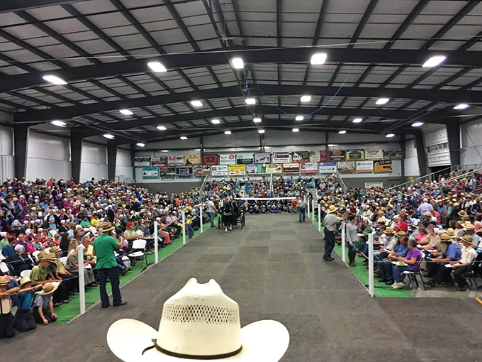 The Mount Hope Auction: part theater, part commerce, all fascinating. Watch carefully&mdash;a sneeze might cost you a goat.