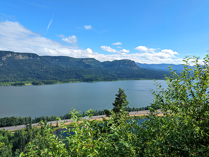 The Columbia River stretches into the distance like a blue highway, offering a breathtaking reward for those who climb the trail's switchbacks.
