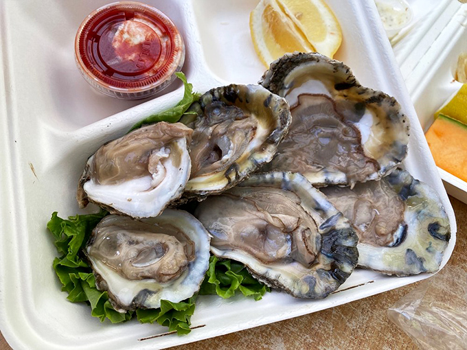 Oysters on the half shell—nature's perfect appetizer. These briny treasures need nothing more than a squeeze of lemon and a moment of silence.
